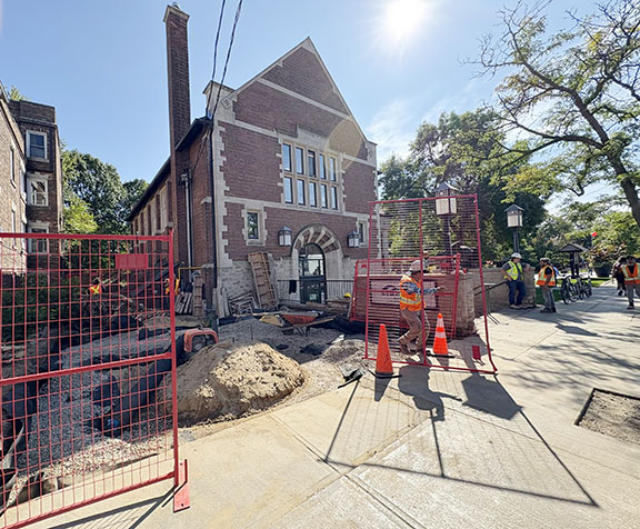Seating area planned after 'structural issues' led to removal of tree ...