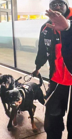 Police seek man in connection with alleged assault and theft near ...