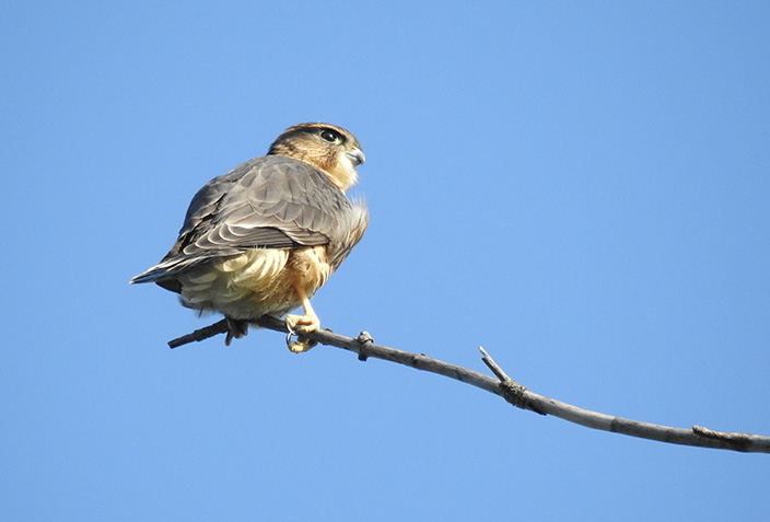 On The Wild Side: Looking back on an exciting 2025 featuring many ...