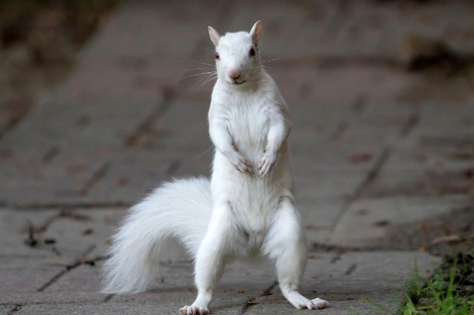 On The Wild Side: Looking back on an exciting 2025 featuring many ...